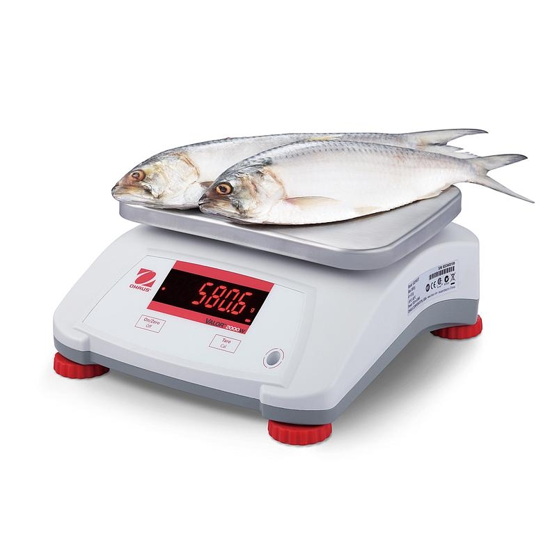 Balance compacte, portée 30 Kg - précision 5g - V22PWE30T